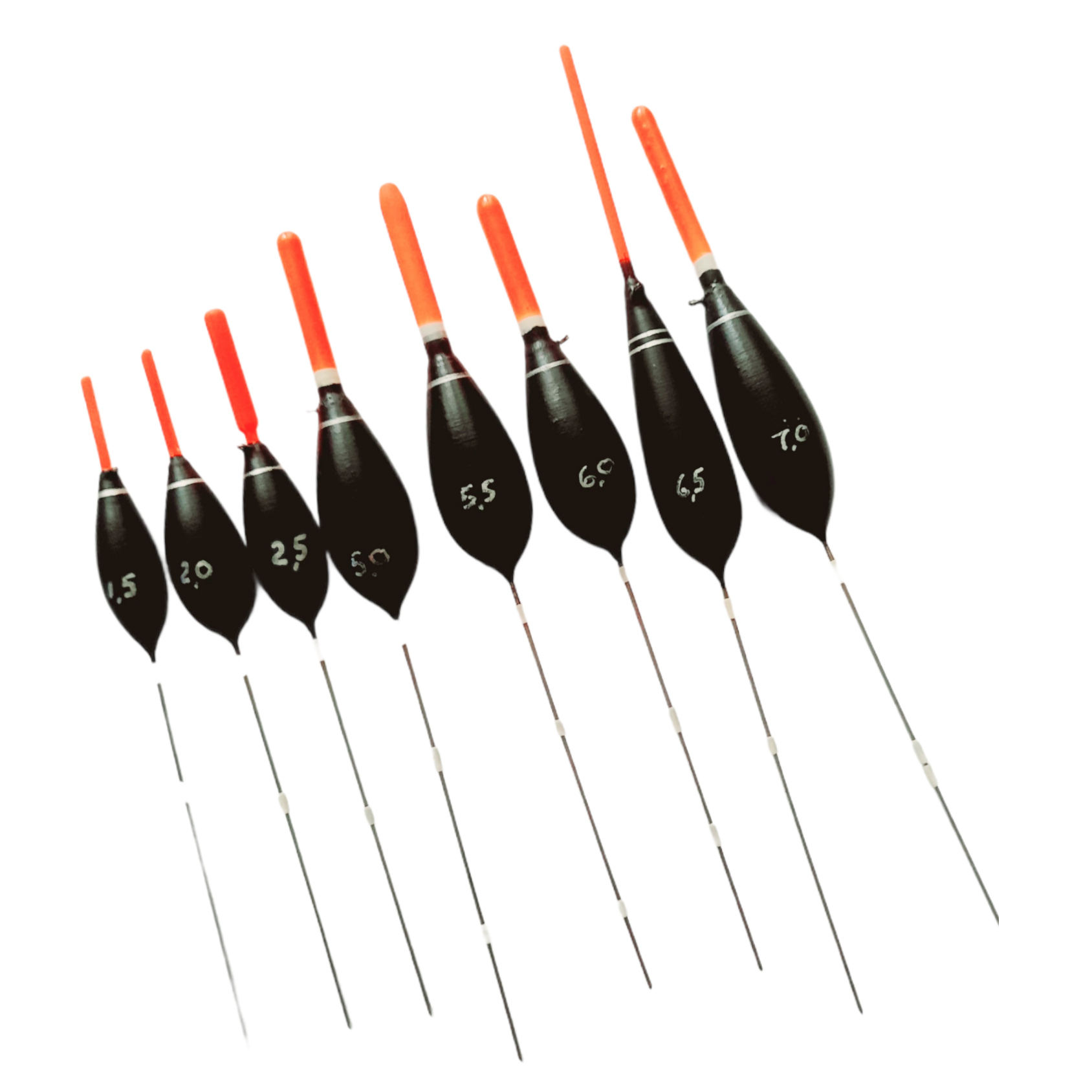 Paprastos plūdės - kkzukle.lt